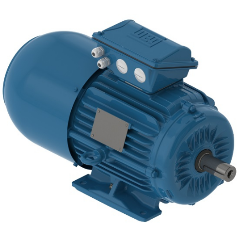 Weg E00158et3wax90lf3-w2 | 12981986 | Electric Motor, 1.5hp, 50hz, 1500 ...